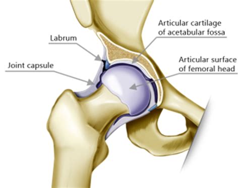Hip Labral Tear Rehab On The Road