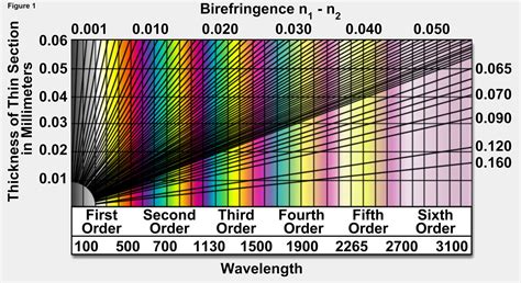 Gout Testing Clinical Research Solutions Nikon Instruments Inc