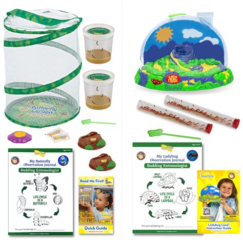 Ladybug Kits With Live Ladybug Larvae Shop Today Insect Lore