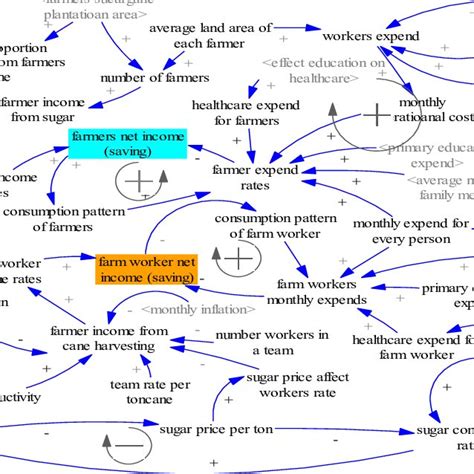 shows the interaction among variables positive arrows indicate a