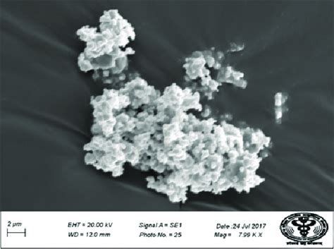 Sem Image Of Copper Nanoparticles Download Scientific Diagram