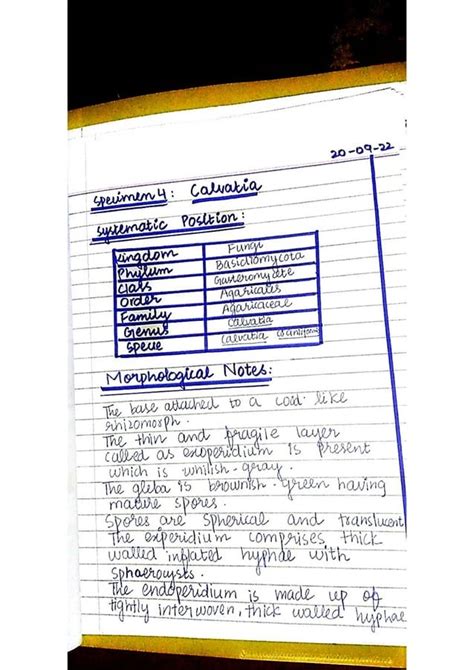 Sarah Ashfaq 51 Higher Fungi Lab Practicals Pdf