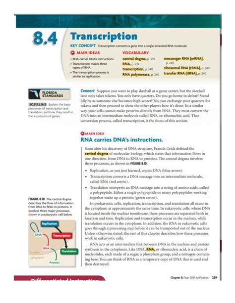 Pdf · Translation Interprets An Rna Message Into A String Of Amino Acids Called