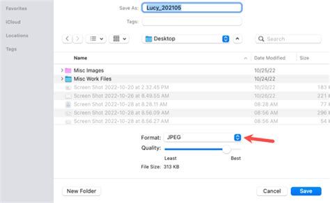How To Convert A Jfif File To  On Windows Or Mac
