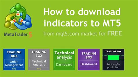 How To Download Indicators On Mt5 For Free Mt5 Indicators Youtube