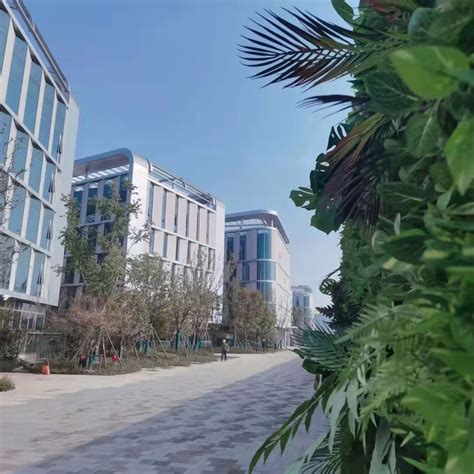 中建企业天地3D全景街景看房