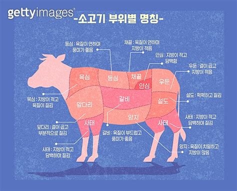 육류요리 육류 실루엣 고기덩어리 육류 쇠고기 붉은고기 이미지 Jv12653509 게티이미지뱅크