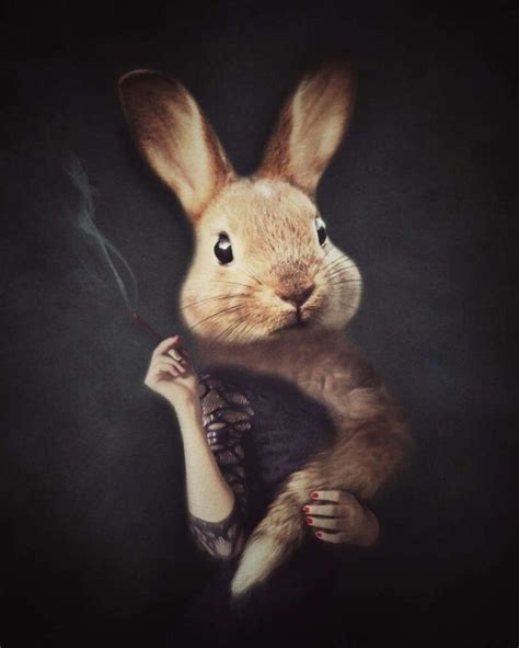 Pin by Marianne Gram Hansen on Animal Metamorphosis | Bunny art ...