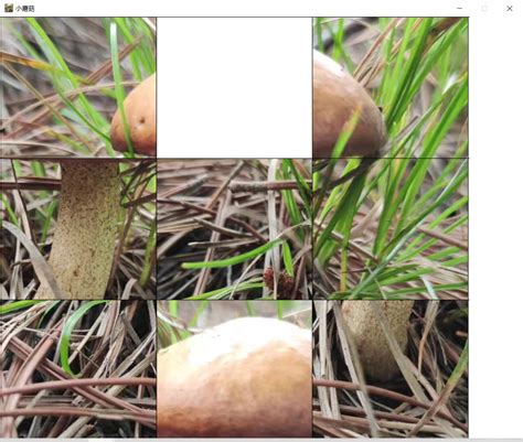 拼图小游戏andpython程序封装方法screenblitgameimage Rectdst Rectarea Csdn博客