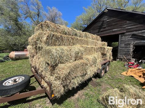 Canary Grass Square Bales Agriculture Bigiron