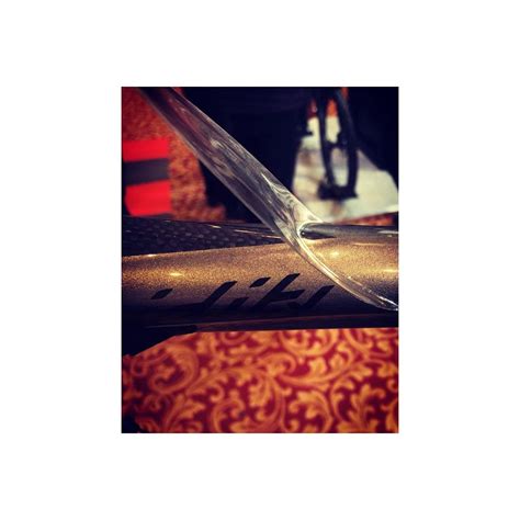 Bike Shield Stay And Cable Shield Kit Clear