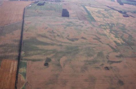 Variability Of Canopy Greenness Of Winter Wheat Three Weeks Before