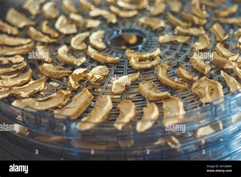 Drying Sliced Apples Goodies For A Rainy Day A Device For Drying Vegetables And Fruits