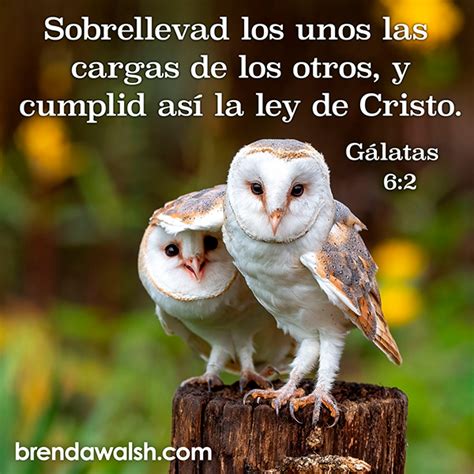 Gálatas 62 Brenda Walsh Scripture Images