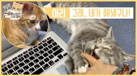 이제 아리랑이 뭅니다 Youtube