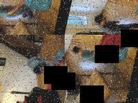 Le I Object Detection Dataset V Le I Data Augmentations By New Workspace Qfcus