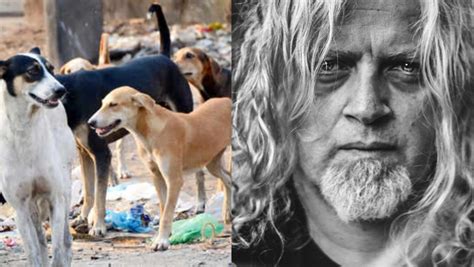 „გიყვარს ძაღლი წაიყვანე სახლში… ადამიანის უფლებებზე მაღლა ნუ დააყენებთ…“ ლადო ბურდულის პოსტს