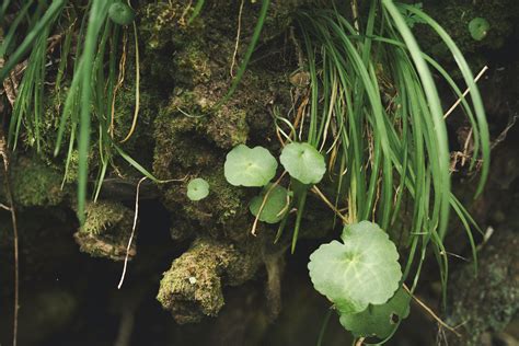 Cele Mai Bune 10 Fotografii Cu Tema سكس بني مع بني · Descărcare 100