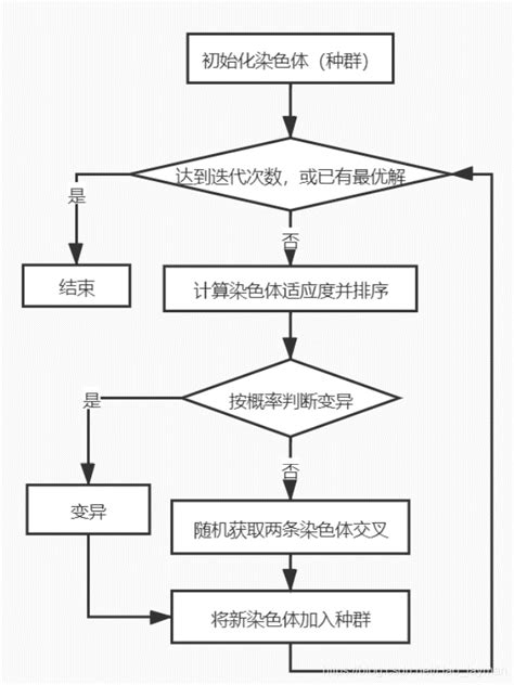 基于遗传算法的排课算法思路 Csdn博客