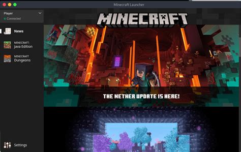 exposing localhost minecraft server localxpose docs