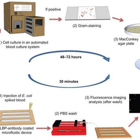 Evaluation Of Two Different Surface Chemistry Methods For E Coli