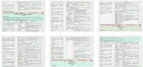 Навчальна програма «Українська мова 7 клас на основі модельної програми Заболотного