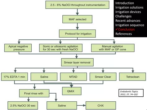 Irrigation In Endodontics Pptx
