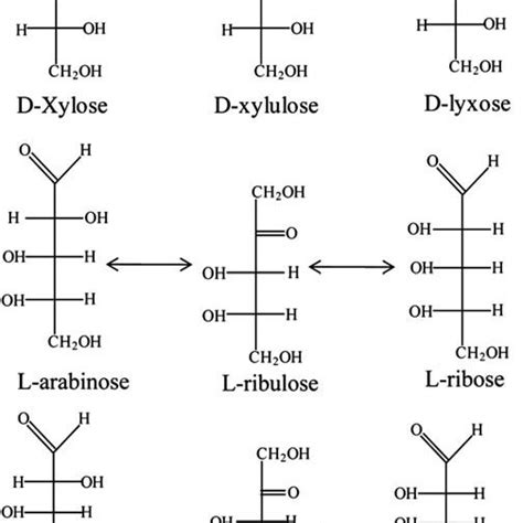 Schematic Representation Of Sugar Structures And Two Step Isomerization Download Scientific