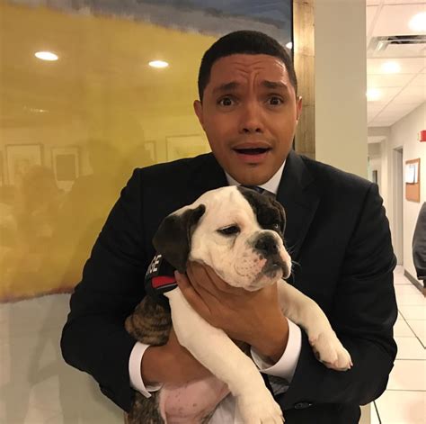Slaylebrity Trevor Noah Slaylebrity