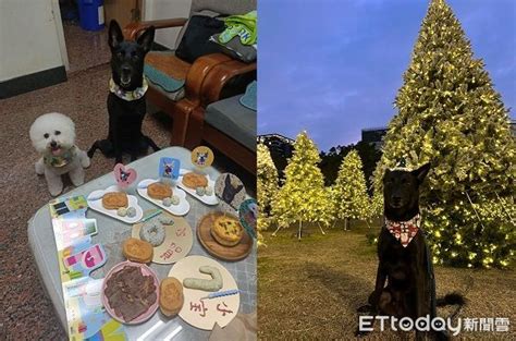 出國玩讓爸爸單獨顧狗 家裡貼滿貼心叮嚀「重點4」笑翻網友 Ettoday寵物雲 Ettoday新聞雲