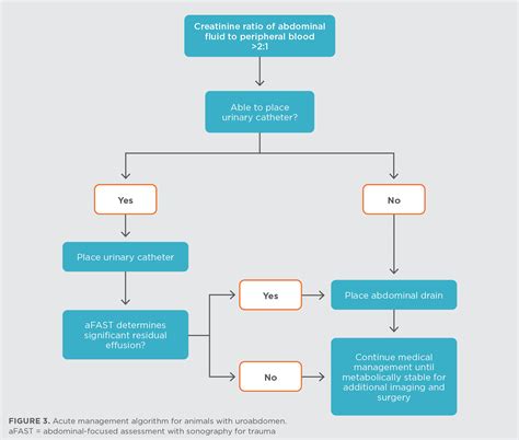 Uroabdomen Approach And Management