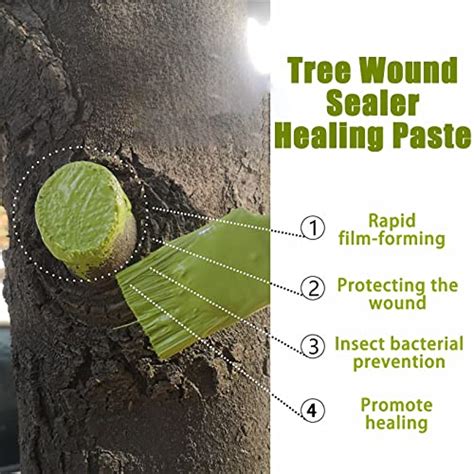 Homemade Tree Wound Sealer At Sam Vanthoff Blog