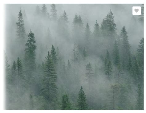 Dynamic Volumetric Fog Unity Connect