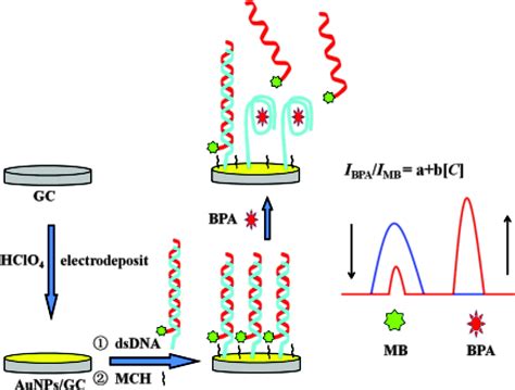 Sensitive Detection Of Bisphenol A Based On A Ratiometric