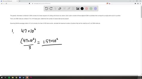 Solved The Genetic Information Contained In Dna Consists Of A Linear