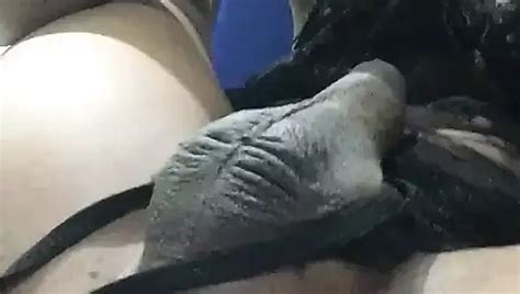 Hamladyboysth Trans Porn Videos Shemale Sex Xhamster