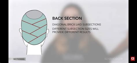 Balayage Sectioning Kenra Color Hair Painting Balayage