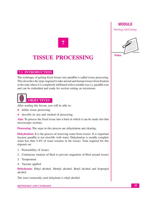 What Is Tissue Processing At Stormy Shumate Blog