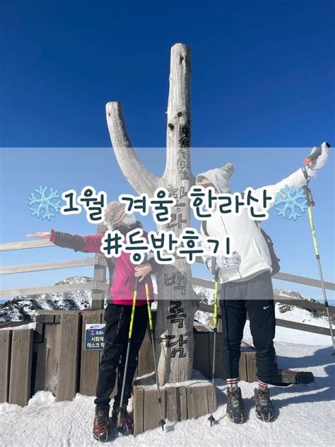 1월 겨울 한라산 등반 리얼후기🏔 성판악 입산 관음사 하산 백록담 설경 등산코스 추천 준비물 꿀팁 숙소 도시락 네이버 블로그