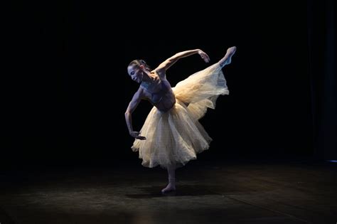 공연 공연가 극장 댄서 발레 발레리나 스테이지 엔터테인먼트 여성 예술 춤 코스튬 튤에 관한 무료 스톡 사진