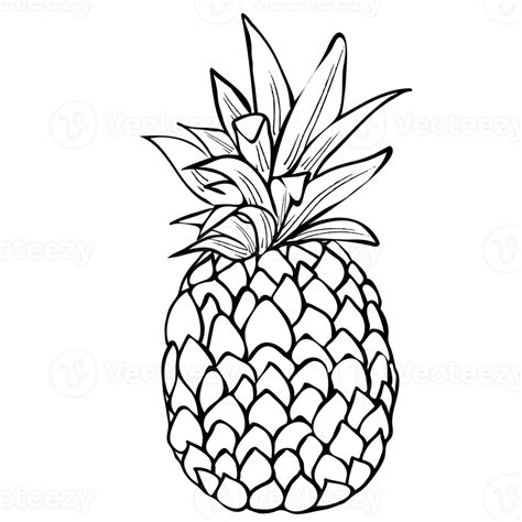 Pineapple Outline Illustration 26959247 Png
