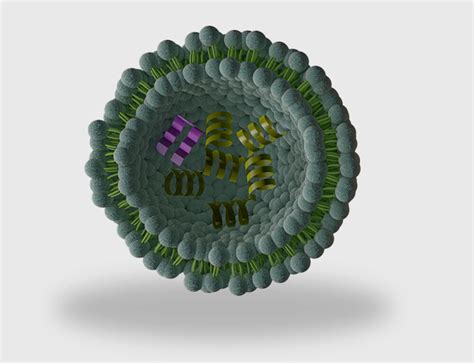 Free Graphical Abstract Maker Scientific Illustration