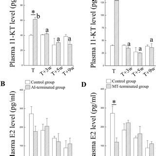Expression Profiles Of Sex Related Genes During Sexual Fate Alternation Download Scientific