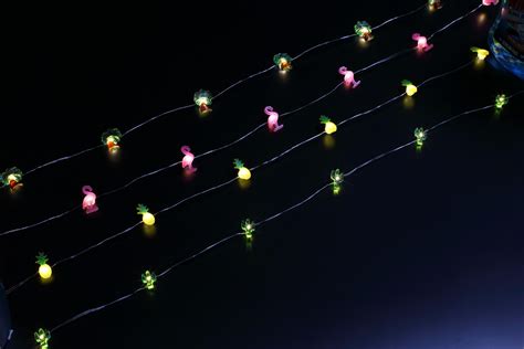 Wire String Lights By Noma Silverland Stone