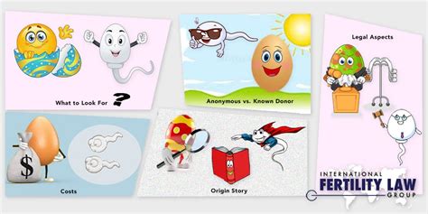 Key Factors To Consider When Selecting An Egg Or Sperm Donor Iflg International Fertility