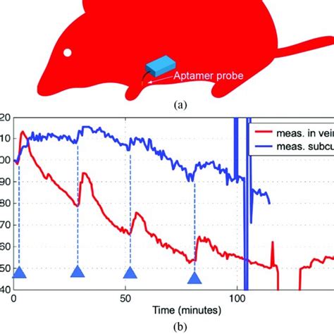 Kanamycin Drug Concentration Measured By Aminoglycoside Aptamer From