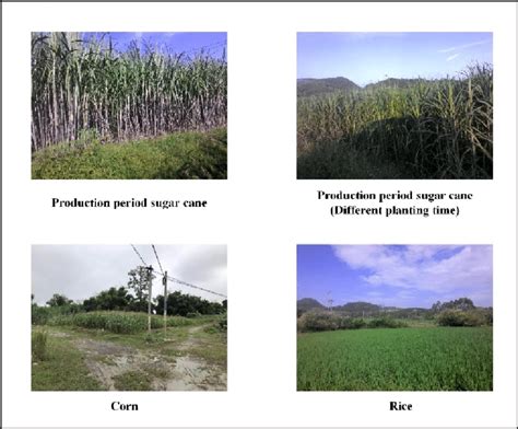 Full Scale Field Validation Vector Map Download Scientific Diagram