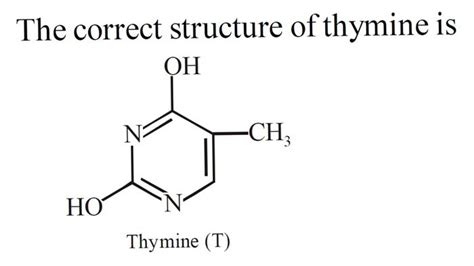 Thymine Structure Structure Of Nucleic Acids Biology For Majors I
