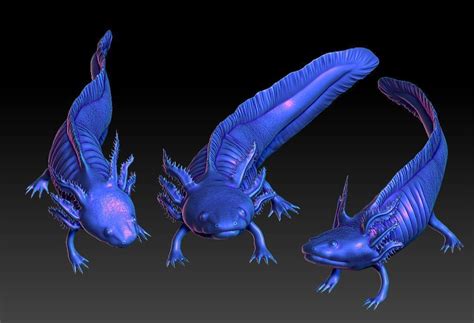 Axolotl 3d Model 3d Printable Cgtrader