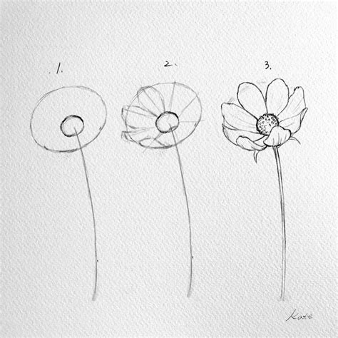 Cómo Dibujar Flores Paso A Paso
